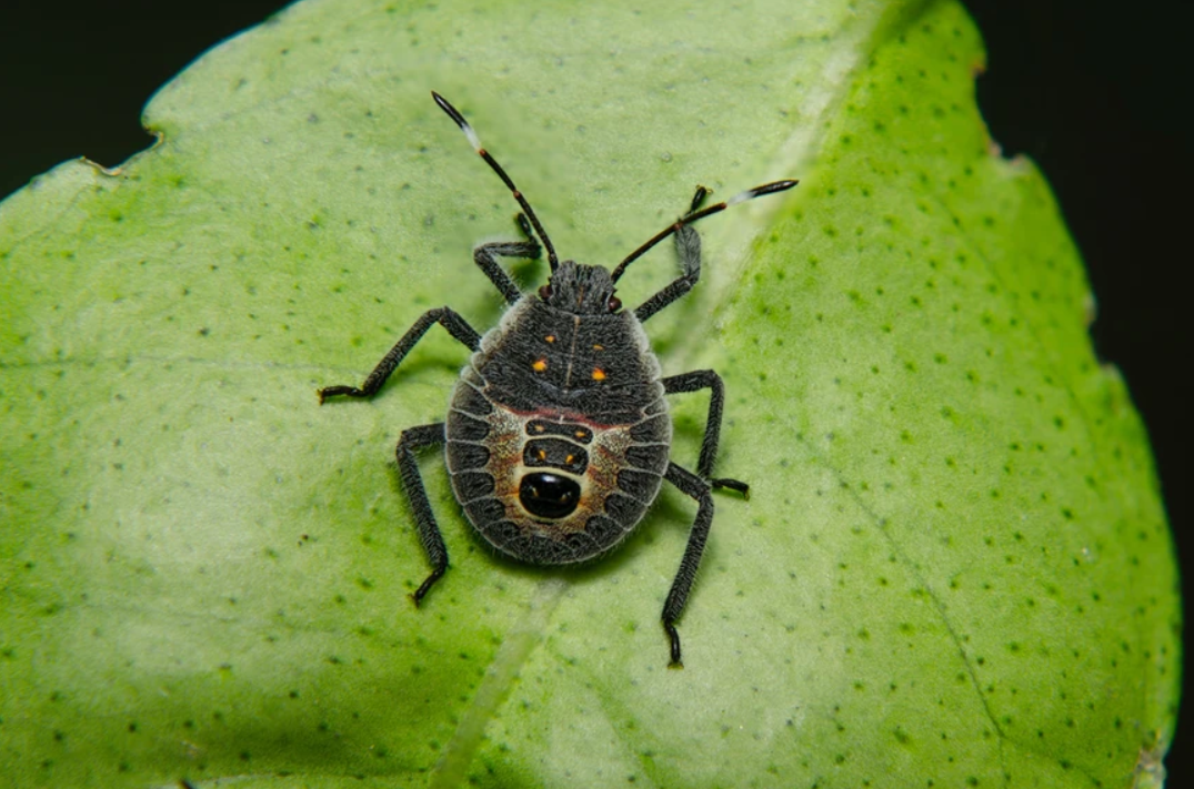 Suzhou Oi-Instruments Co., Ltd.