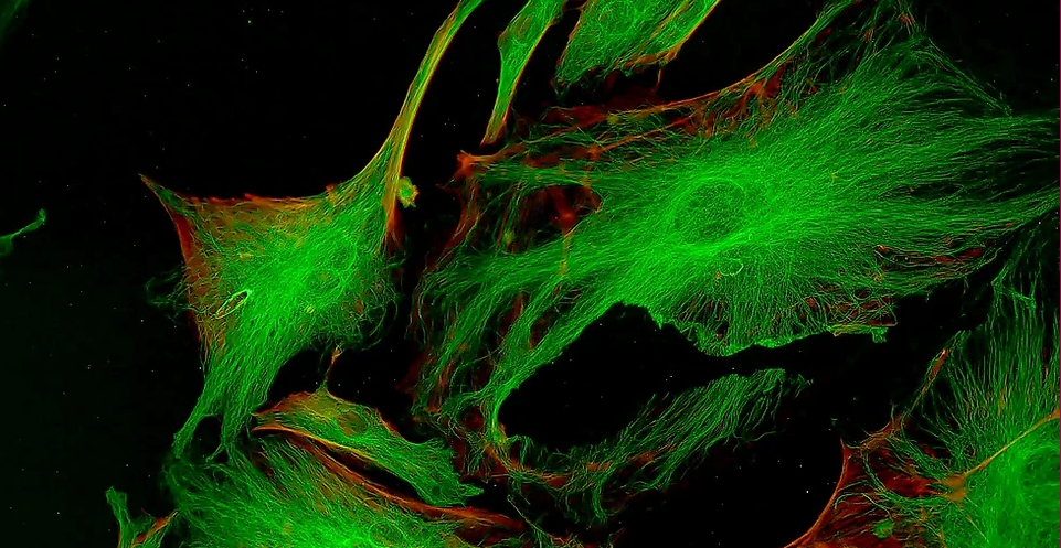 Suzhou Oi-Instruments Co., Ltd.